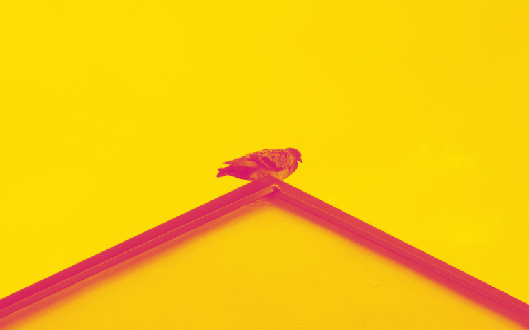 What can I do to avoid pigeonholing myself for the rest of my career ...